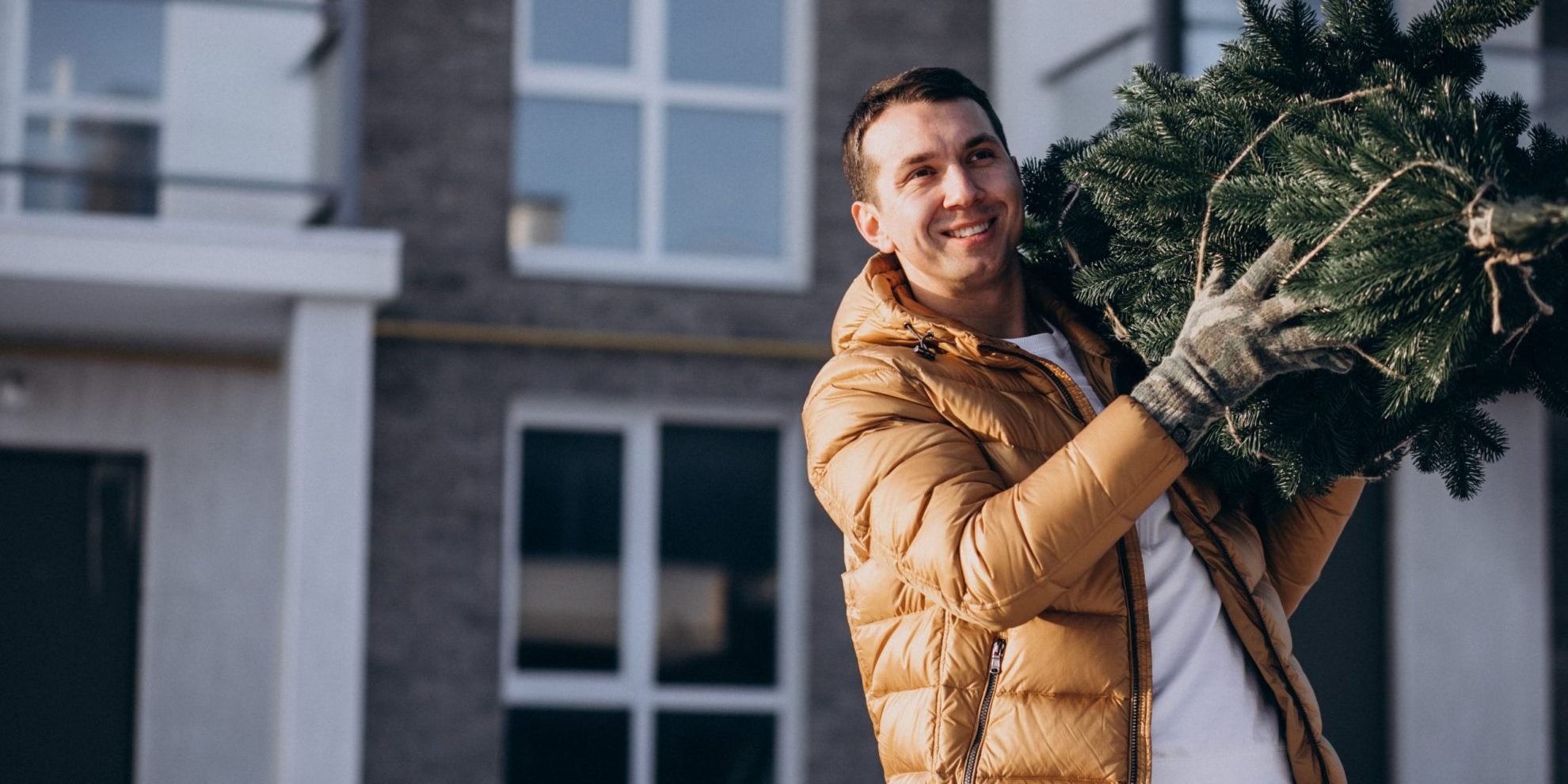Transporting a Christmas Tree? Here’s How to Do It Without Damaging ...